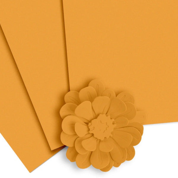 Crafty Necessities: Lemonade Stand Cardstock (10 sheets/set ...