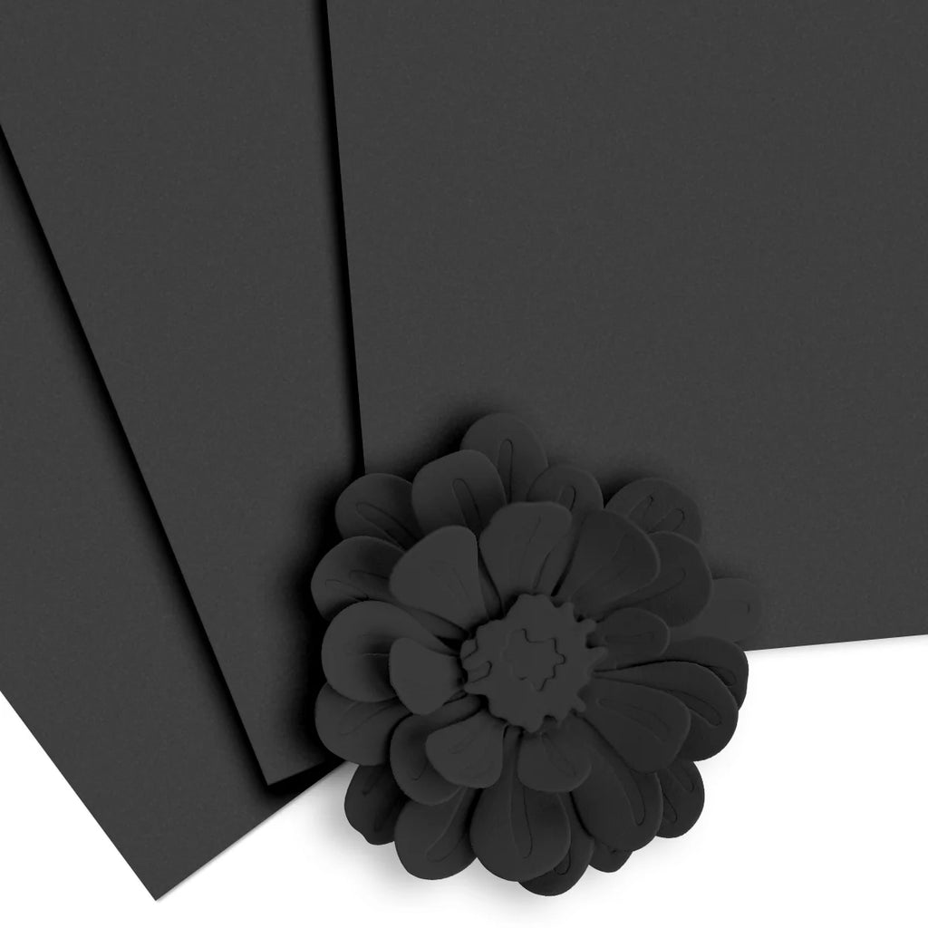 Crafty Necessities: Pure Graphite Cardstock (10 sheets/set ...