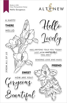 Hello Gorgeous Stamp Set - RETIRING – Bumbleberry Papercrafts Ltd